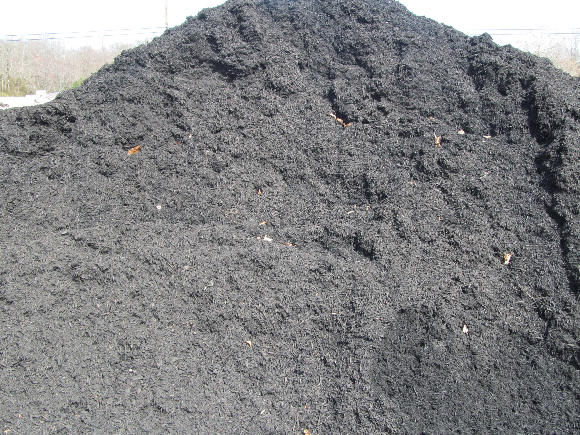 Black Mulch